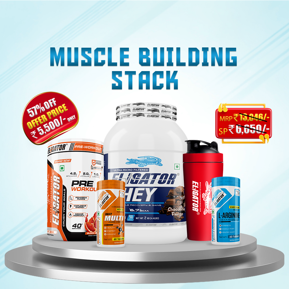 Muscle Building Stack – HERCULES NUTRA PRIVATE LIMITED. All Rights Reserved